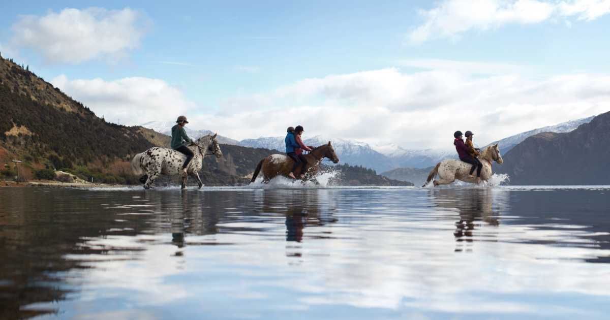 The Best Horseriding Adventure Trails You Can Find In New Zealand